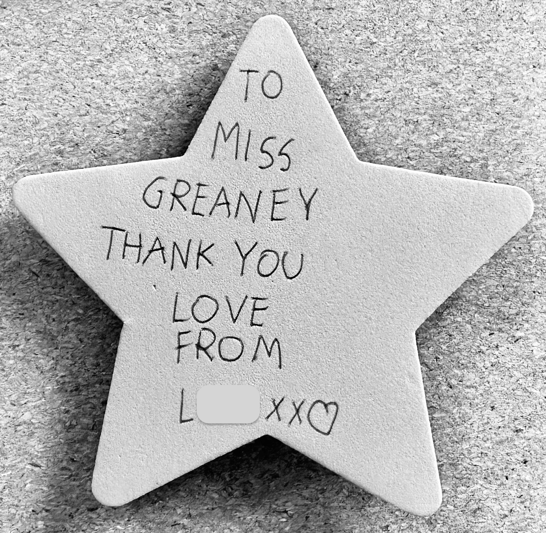 Lisa Greaney Maxillofacial Surgeon